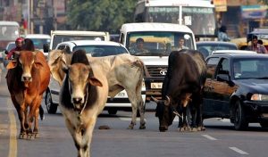 TOP 8 unbelievably dirty countries of the world that disappoint us