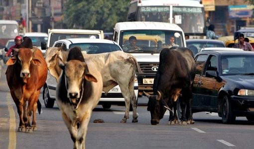 TOP 8 unbelievably dirty countries of the world that disappoint us