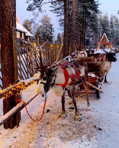 Куда поехать на Новый год и Рождество 2021: Европа, Россия, Лапландия ...