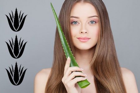 Лучшие маски для волос с алоэ вера: домашние рецепты